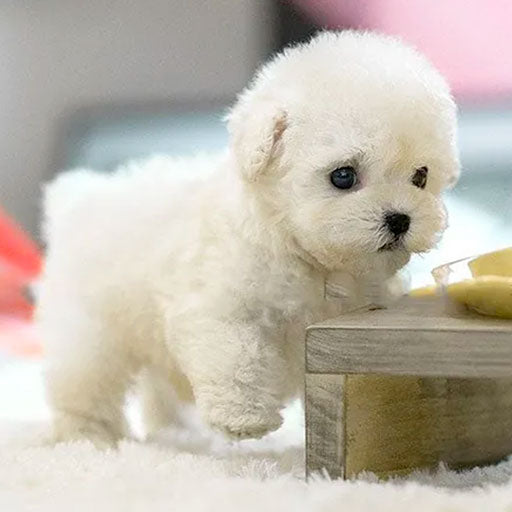 Realistic Interactive Plush Puppy Toy – Twilight & Co